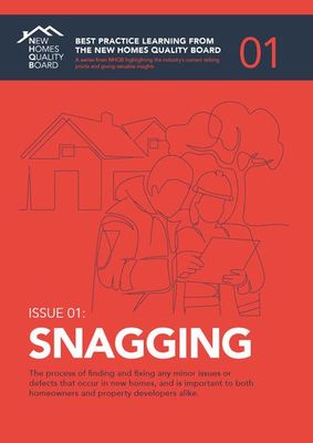NHQB Best Practice Learning - Snagging.pdf